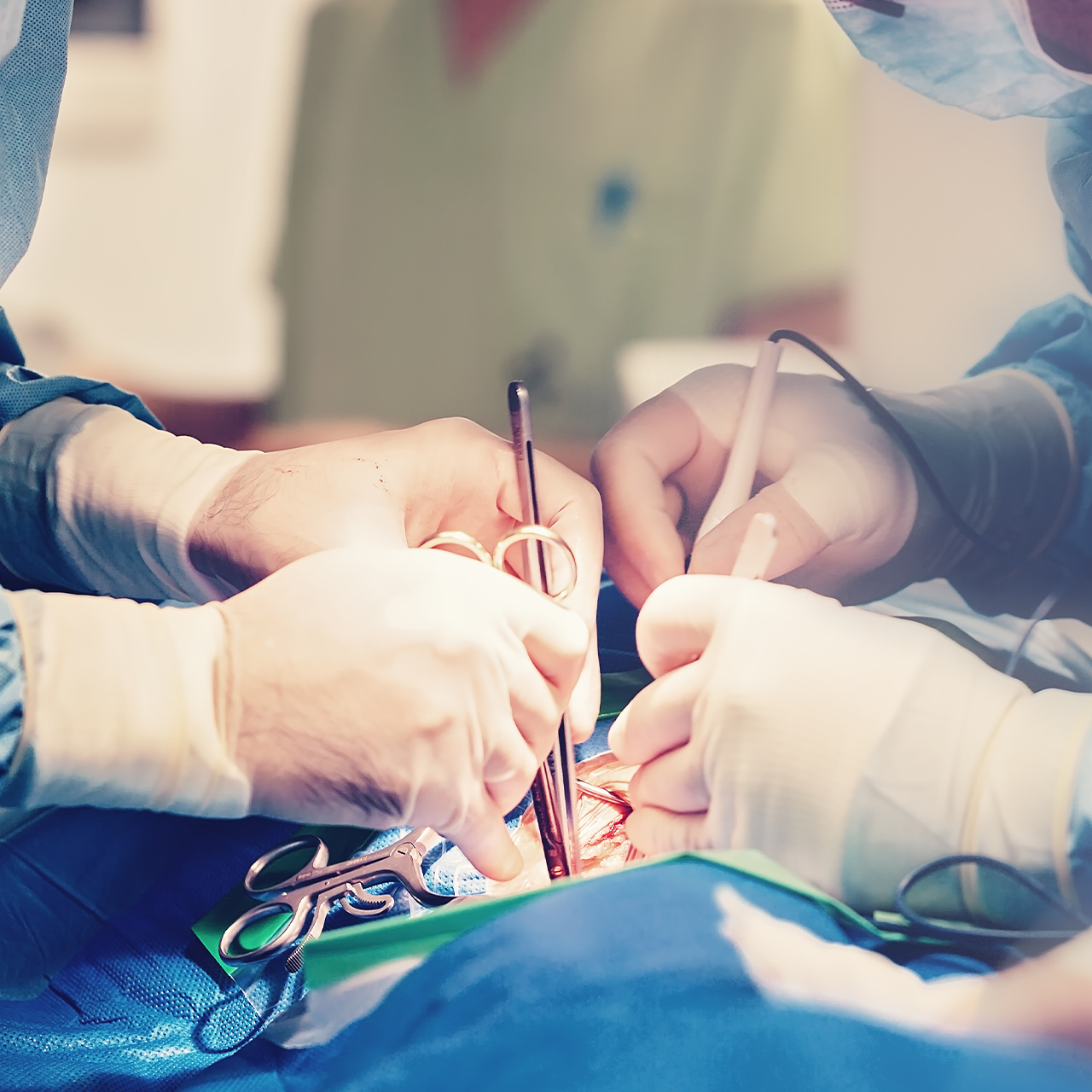 Structural Heart Catheter Solutions Manufacturing | Spectrum Plastics Group